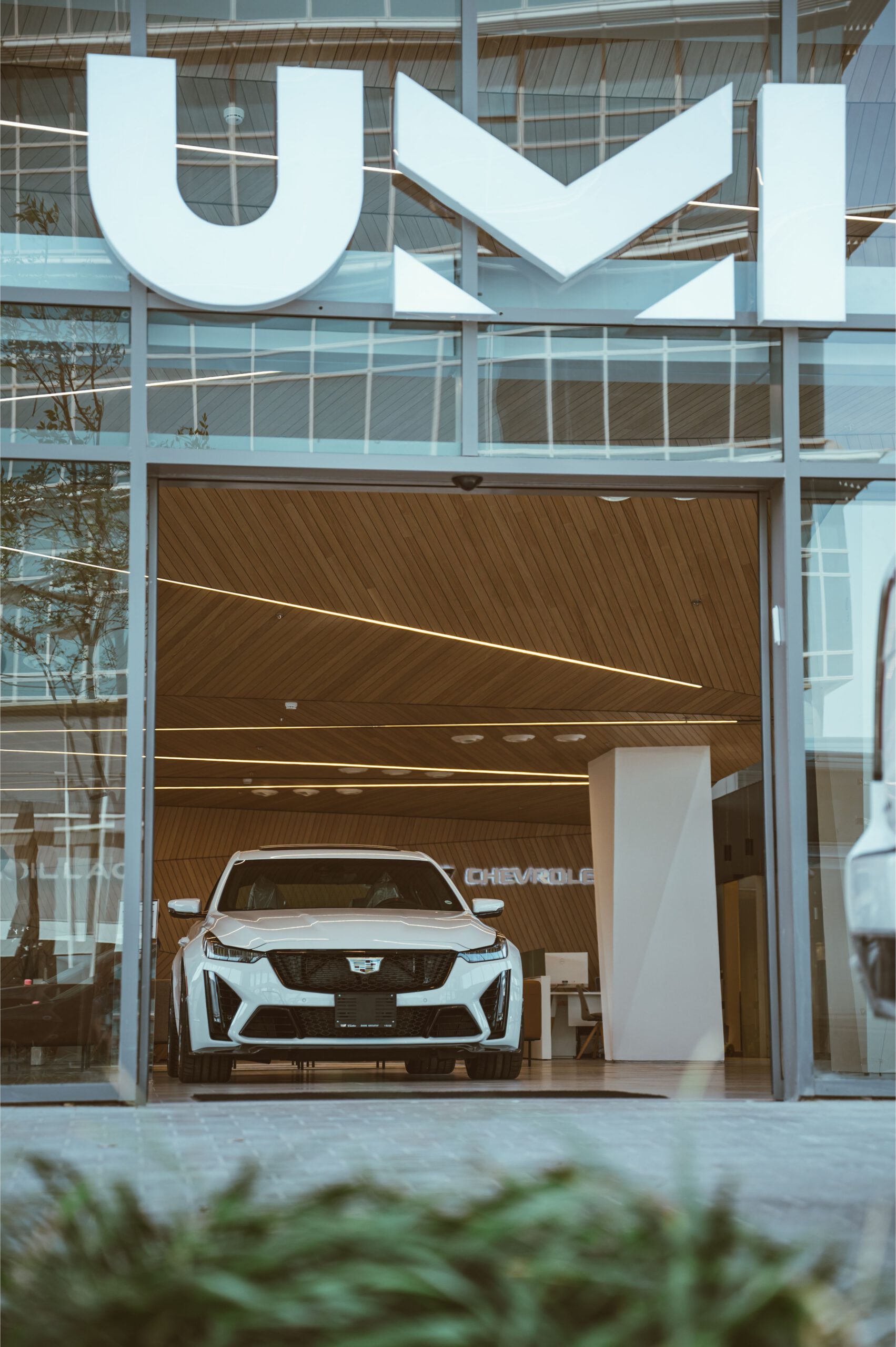 UMI - Universal Motors Israel - Comasco Holdings